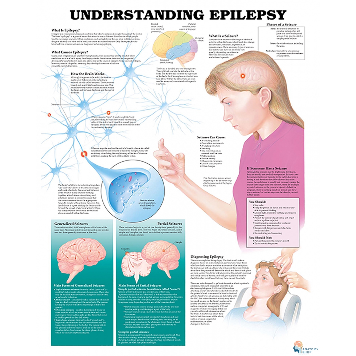 Epilepsy Chart 51x66cm With Hard Backing Aluminium Frame Hanging Hooks